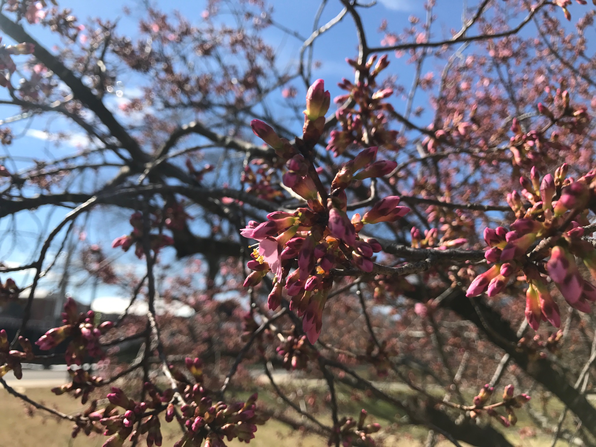 Evening Update: Thursday Temperatures Cooler Than Today, Will Still ...