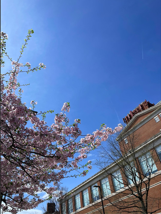 Morning Update: Spring has Arrived! – UMD Weather