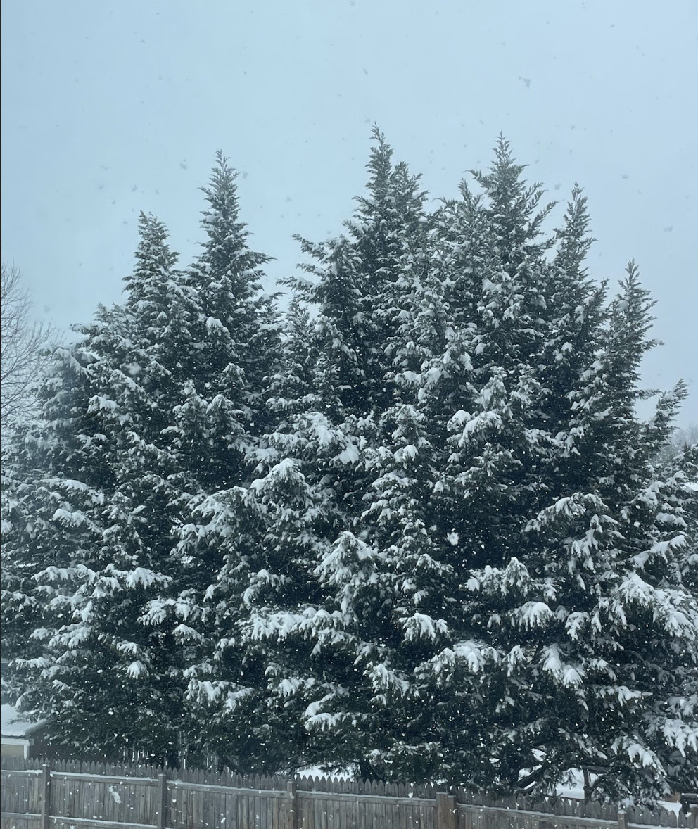 Morning Update: A Frigid Start to Spring Semester – UMD Weather